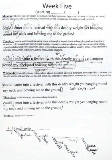 Becoming a Grammar Expert—Even If You Are Starting from Scratch ...