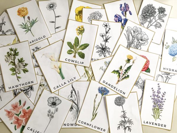 Flower Nature Study Printables - Homeschool Compass