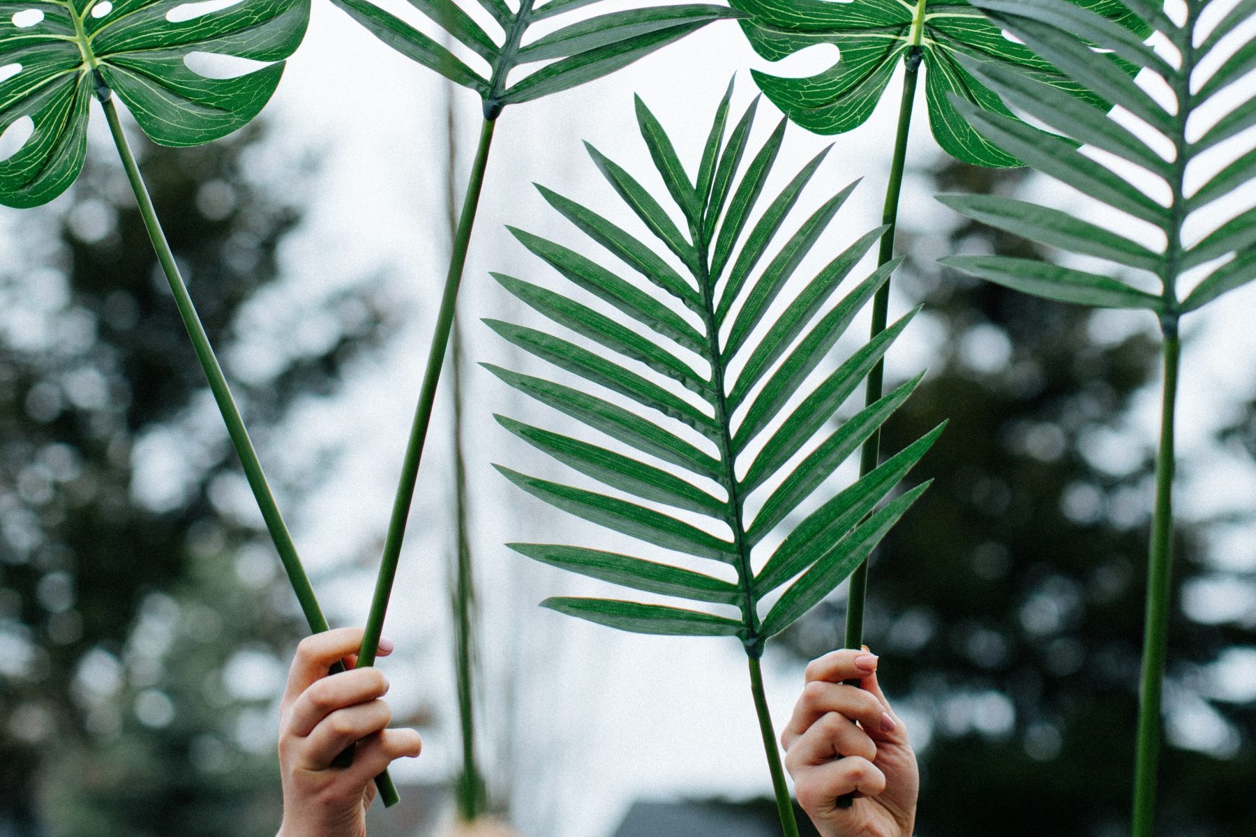 Palm Sunday and Easter Traditions for Your Homeschool - Homeschool Compass