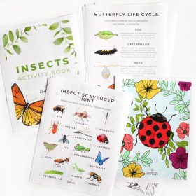 Free Printable Insect Activity Book - Homeschool Compass