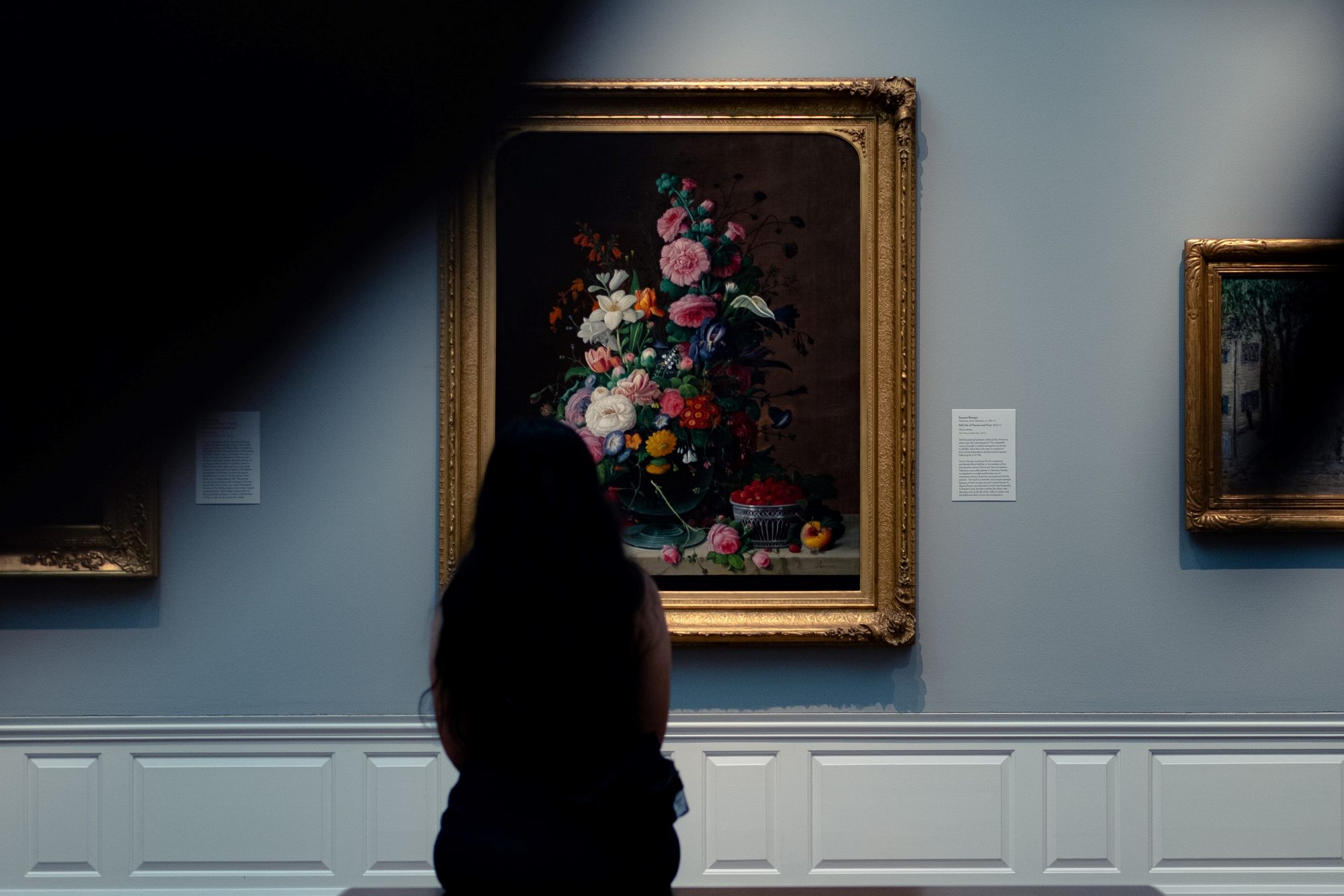 25 Virtual Field Trips for Your Homeschool - Homeschool Compass