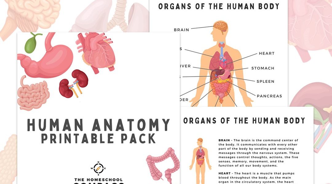 Free Homeschool Printables - Homeschool Compass