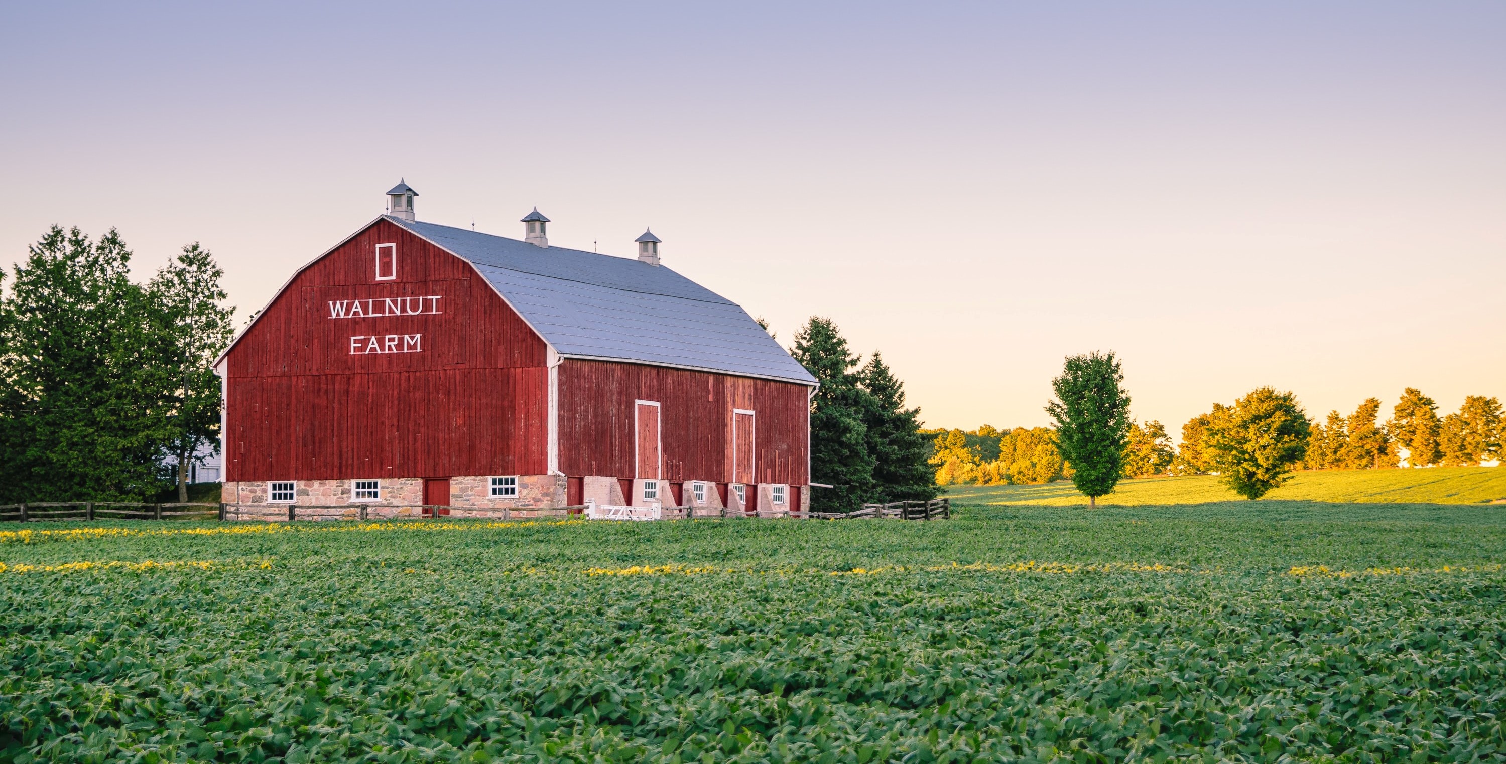 20 Favorite Picture Books about Farms - Homeschool Compass