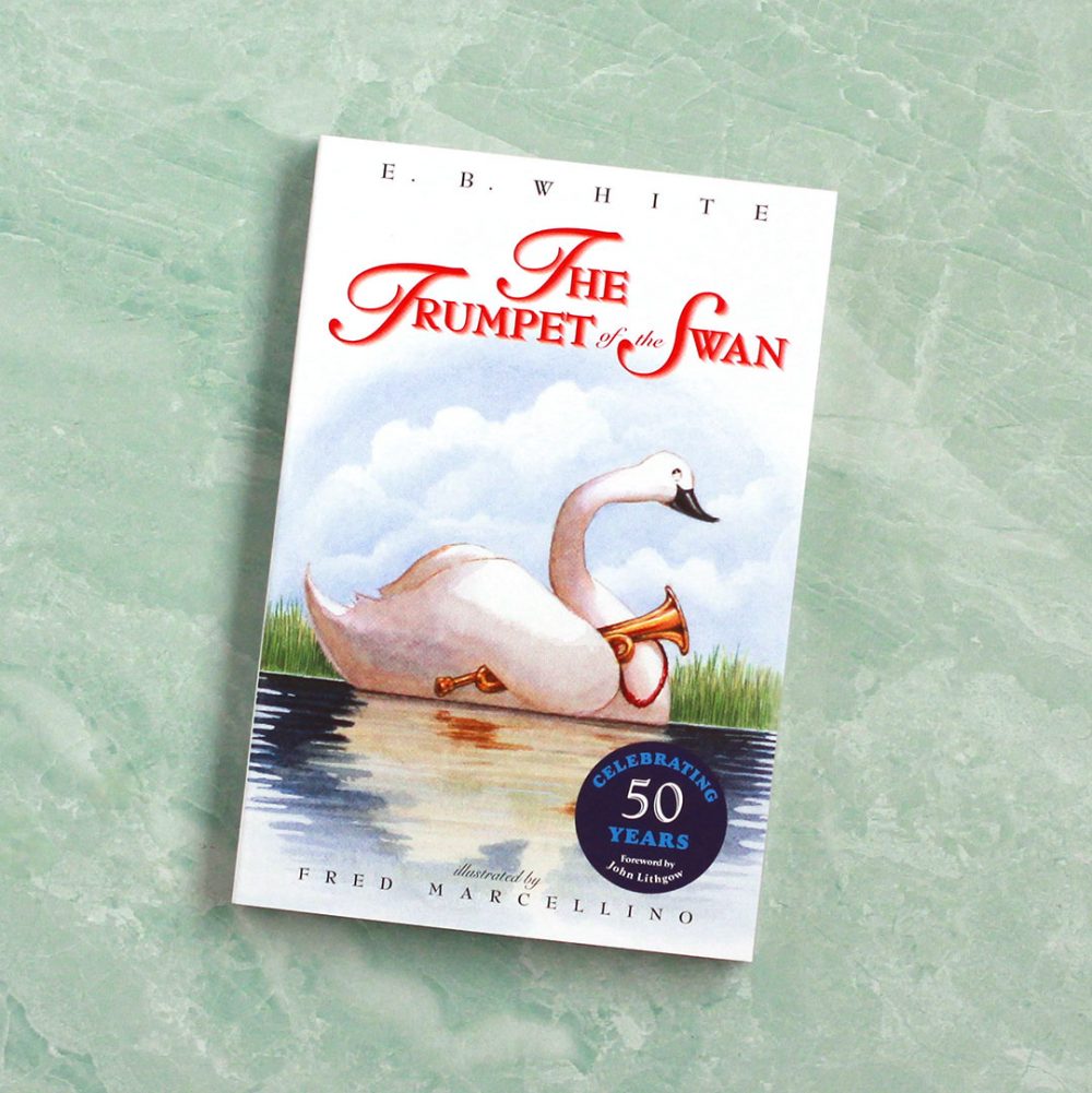 10 Favorite Chapter Book Read Alouds for Summer - Homeschool Compass