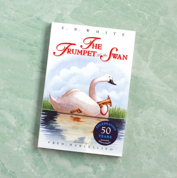 10 Favorite Chapter Book Read Alouds for Summer - Homeschool Compass